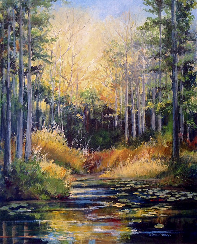 Artist’s Portfolio | Constance Fahey - Fine Artist